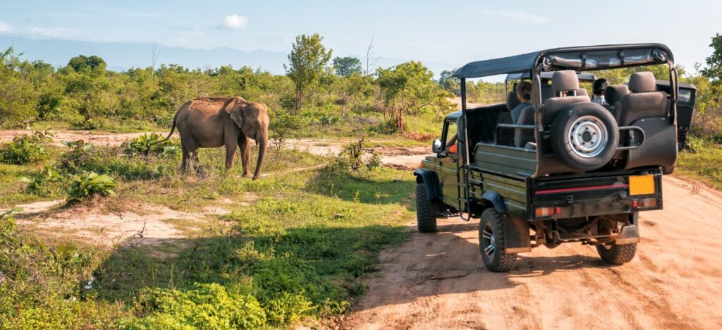 Kenyan Adventure - Joy N Crew